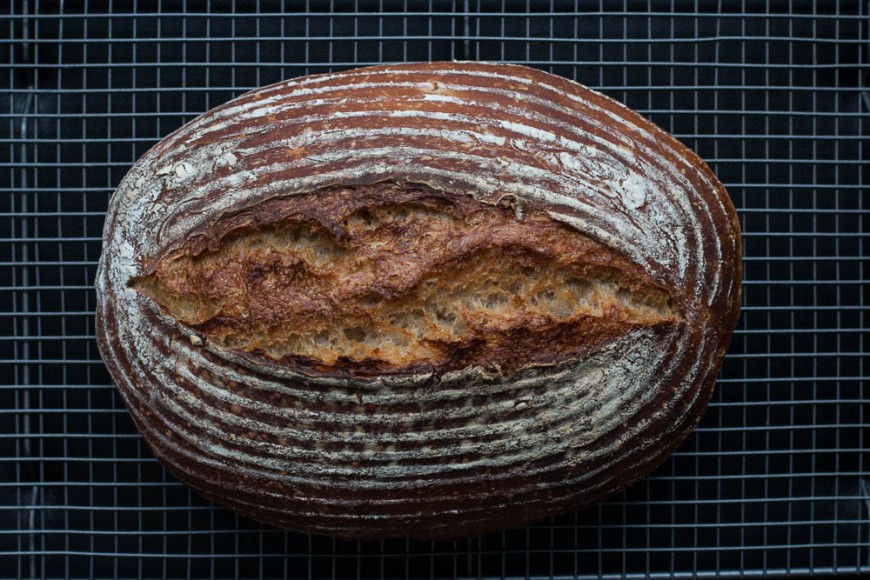 Landbrot ohne Hefe nach Tartine Bread - gekleckert.de